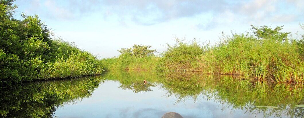 Orange Walk Travel Guide (Updated 2022): See, Do, Spend, & Save